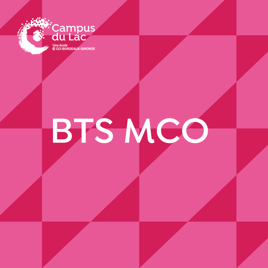 BTS MCO : alternance ou étudiant ? - Campus Du Lac